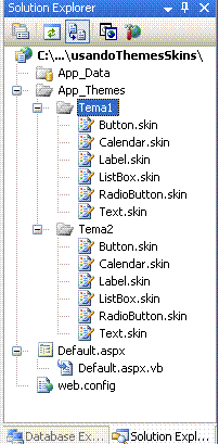 ASP .NET - Usando Themes e SKins